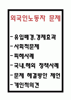 외국인노동자 사회적문제과 피해사례연구 및 국내 해외 외국인노동자 정책사례분석 및 외국인노동자 문제 해결방안 제언-1페이지