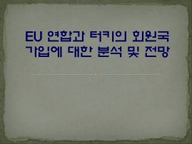 [국제기구론 A+] EU 연합과 터키의 회원국 가입에 대한 분석 및 전망-1페이지