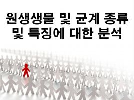 [생물학] 원생생물 및 균계 종류 및 특징에 대한 분석-1페이지