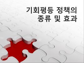 기회평등 정책의 종류 및 효과-1페이지