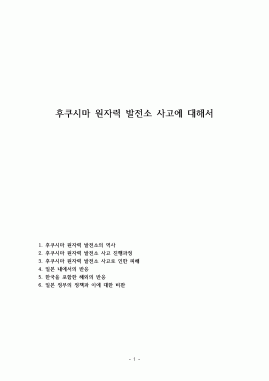 후쿠시마 원자력 발전소 사고에 대해서-1페이지