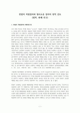 헌법의 적법절차와 형사소송 절차의 원칙 검토-1페이지