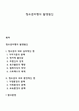 청소년비행의 발생원인-1페이지