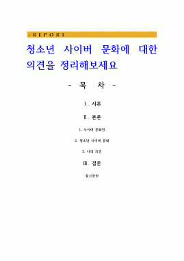 청소년 사이버 문화에 대한 의견을 정리해보세요-1페이지