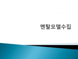 멘탈모델 수립 ) 멘탈모델수집-1페이지