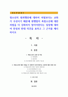 청소년의 범죄행위에 대하여 처벌보다는 교화가 우선이기 때문에 현행법의 촉법소년에 대한 처벌을 더 강화하지 말아야한다는 입장에 대하여 찬성과 반대 의견을 표하고 그 근거를 제시하시오	
-1페이지