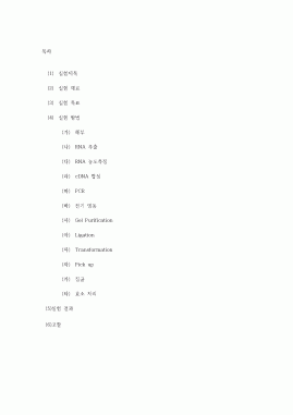 PCR 실험 보PCR 실험 보고서고서-1페이지