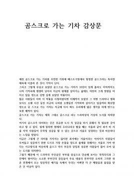 곰스크로 가는 기차 감상문-1페이지