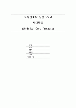 [모성간호학실습] vsim 7.Carla Hernandez 제대탈출 case A+ 간호진단3개(맵핑), 간호과정1개(이론적근거,참고자료,꼼꼼)-1페이지