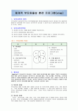 체계적 부모효율성훈련 프로그램 (step)-1페이지