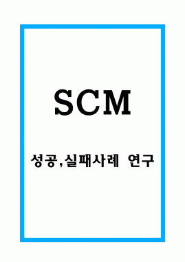 SCM 도입 성공 실패사례연구-1페이지