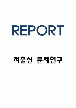 저출산 실태와 해외 저출산정책 성공사례 연구 및 저출산 문제해결방안 연구-1페이지