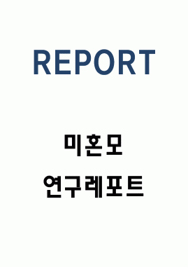 미혼모 국내 해외 정책사례분석과 제도 개선방안-1페이지