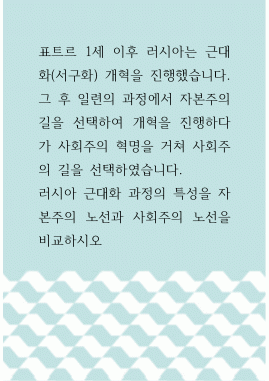 사회학 ) 러시아 근대화 과정의 특성을 자본주의 노선과 사회주의 노선을 비교하시오-1페이지