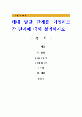 태내 발달 단계를 기입하고 각 단계에 대해 설명하시오-1페이지