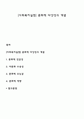 [사회복지실천] 문화적 다양성의 개념-1페이지