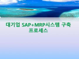 대기업 SAP+MRP시스템 구축 프로세스-1페이지