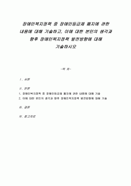 장애인복지정책 중 장애인등급제 폐지에 관한 내용에 대해 기술하고, 이에 대한 본인의 생각과 향후 장애인복지정책 발전방향에 대해 기술하시오-1페이지