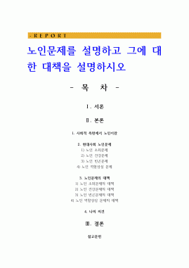 노인문제를 설명하고 그에 대한 대책을 설명하시오-1페이지