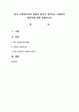 한국 사회복지직의 현황과 본인이 생각하는 사회복지 전문직에 대해 설명하시오-1페이지