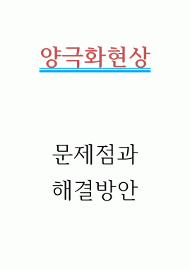 양극화현상 원인과 유형 및 양극화현상 문제점과 해결방안 및 개인적 의견 - 양극화현상 연구레포트-1페이지