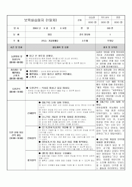 보육실습일지20일+일화기록+반일계획안-1페이지