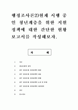 행정조사론2)현재 시행 중인 청년계층을 위한 지원 정책에 대한 간단한 현황보고서를 작성해보자.-1페이지