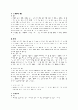 조현병의 개념-1페이지