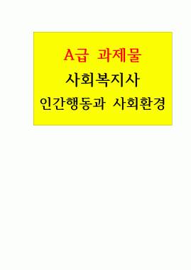 인간행동과사회환경_청소년기의 부적응 행동실태의 영향요인과 사회복지실천에 대해 논하시오-1페이지