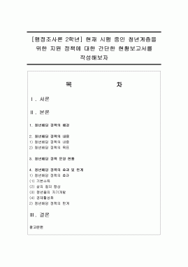 [행정조사론 2학년] 현재 시행 중인 청년계층을 위한 지원 정책에 대한 간단한 현황보고서를 작성해보자-1페이지