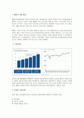 펨테크 시장 성장과 향후전망-1페이지