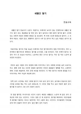 새빨간 딸기-1페이지