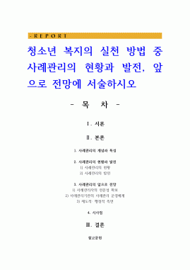 청소년 복지의 실천 방법 중 사례관리의 현황과 발전, 앞으로 전망에 서술-1페이지