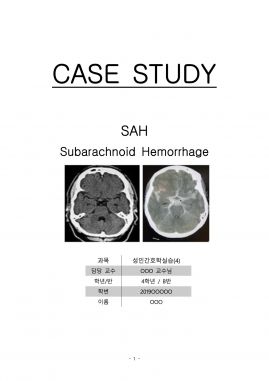 ICU케이스 SAH-1페이지