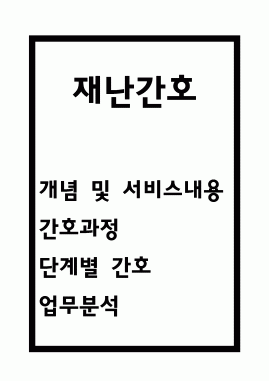 재난간호 간호과정과 재난간호 서비스내용 및 업무분석 및 단계별 간호 - 재난간호 연구-1페이지