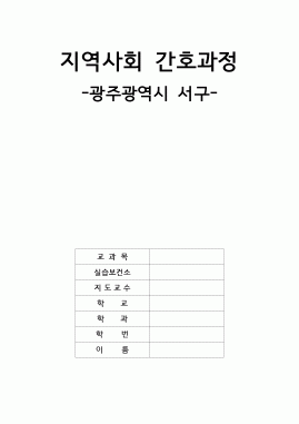 지역사회 간호과정(광주광역시 서구)A+(지역마다 다르지만 지역사회 흐름을 읽히세요)-1페이지