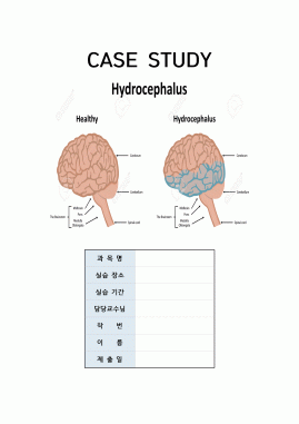 신경외과 간호과정 A+(학술제 발표자료, 간호진단, 과정 2가지 상세기술)-1페이지