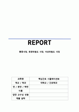 통증사정, 욕창위험도 사정, 낙상위험도 사정-1페이지