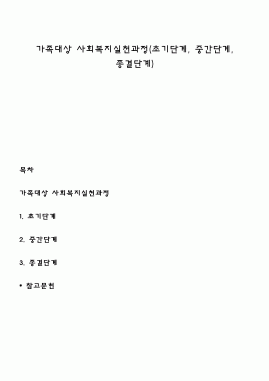 가족대상 사회복지실천과정(초기단계, 중간단계, 종결단계)-1페이지