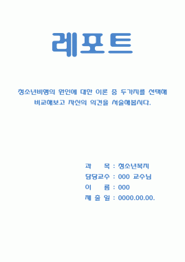 청소년비행의 원인에 대한 이론 중 두가지를 선택해 비교해보고 자신의 의견을 서술해봅시다.-1페이지