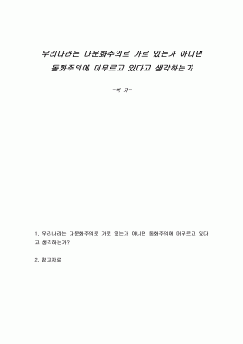 우리나라는 다문화주의로 가로 있는가 아니면 동화주의에 머무르고 있다고 생각하는가-1페이지