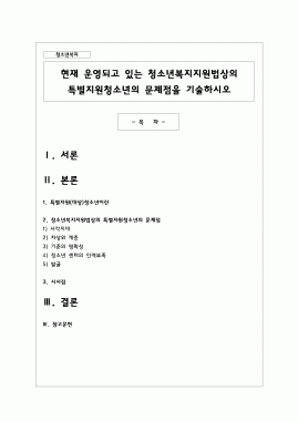 현재 운영되고 있는 청소년복지지원법상의 특별지원청소년의 문제점을 기술-1페이지