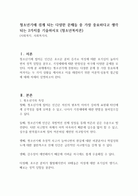 청소년기에 겪게 되는 다양한 문제들 중 가장 중요하다고 생각되는 2가지를 기술하시오 (청소년복지론)-1페이지