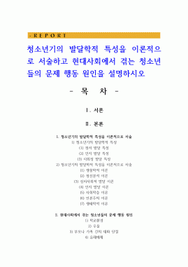 청소년기의 발달학적 특성을 이론적으로 서술하고 현대사회에서 겪는 청소년들의 문제 행동 원인을 설명-1페이지