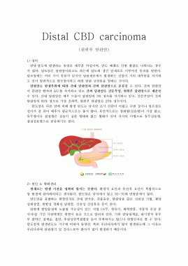 원위부 담관암(distal CBD carcinoma) 성인간호학 질환보고서-1페이지