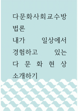 다문화사회교수방법론 ) 내가 일상에서 경험하고 있는 다문화현상 소개하기-1페이지