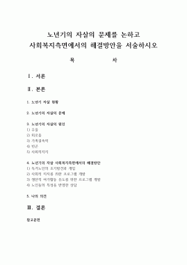 노년기의 자살의 문제를 논하고 사회복지측면에서의 해결방안을 서술-1페이지