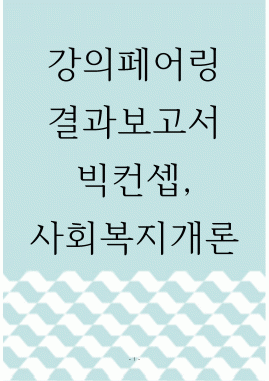 강의페어링 결과보고서 ) 빅컨셉, 사회복지개론-1페이지