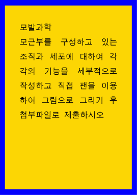 모발과학 ) 모근부를 구성하고 있는 조직과 세포에 대하여 각각의 기능을 세부적으로 작성하고 직접 팬을 이용하여 그림으로 그리기 후 첨부파일로 제출하시오-1페이지