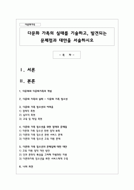 다문화 가족의 실태를 기술하고, 발견되는 문제점과 대안을 서술하시오-1페이지